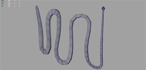 Taenia Solium 3d Model 49 Unknown Obj Ma Free3d