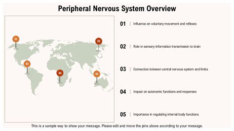 neuroscience and anatomy ppt template acp ppt presentation