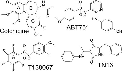 Variations In The Colchicine Binding Domain Provide Insight Into The Structural Switch Of