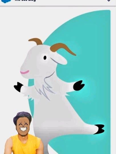 Salesforce Codey Pd I Salesforce Cody • Instagram Photos And Videos