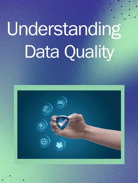 Understanding Data Quality Picklai