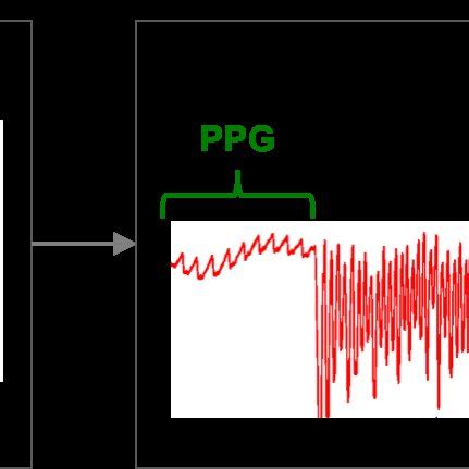 Typical Scenario For Application Of Commercial Wearable PPG Sensors Download Scientific Diagram