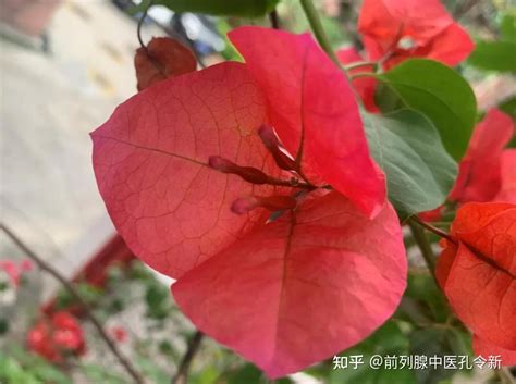 保护前列腺，试着多吃这4类食物 ！ 知乎