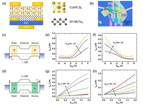 Ferroelectric Reconfigurable Transistor A Schematic Diagram Of The Download Scientific