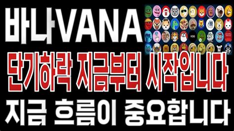 바나vana 코인전망 드디어 터진다 1분전 긴급속보 이제부터 시작입니다 바나vana 바나vana목표가 시세전망 호재