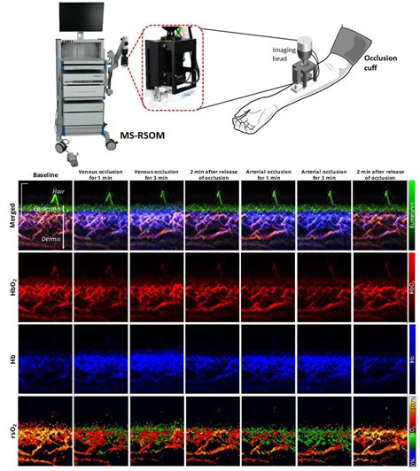 Fui Fong Yong Posted On Linkedin