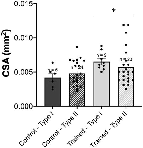 Single Muscle Fiber Crosssectional Area Comparison Of Single Fiber Download Scientific