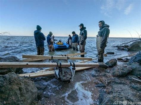 1200万年前のクジラの頭蓋骨米メリーランド州で発見 写真3枚 国際ニュースAFPBB News