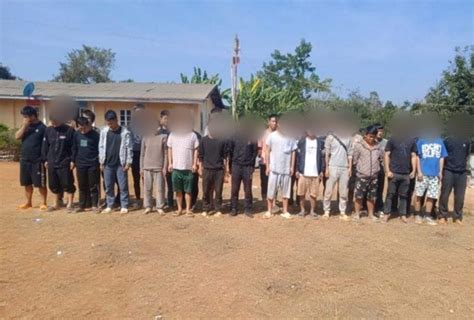 🟢 နမ့်စန်မှာ ကျားဖျန် Shwe Phee Myay News Agency