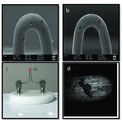 Scanning Electron Microscope Comparison Of New Filament With Visible Download Scientific