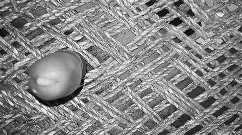 Hot Indian Gay Cumshot Compilation Video Porn Ae Xhamster