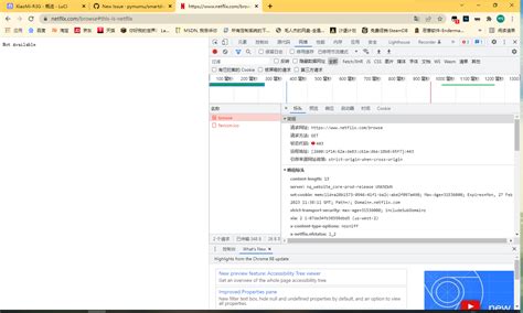 第二dns服务器访问部分网站会解析到IPv Issue pymumu smartdns GitHub