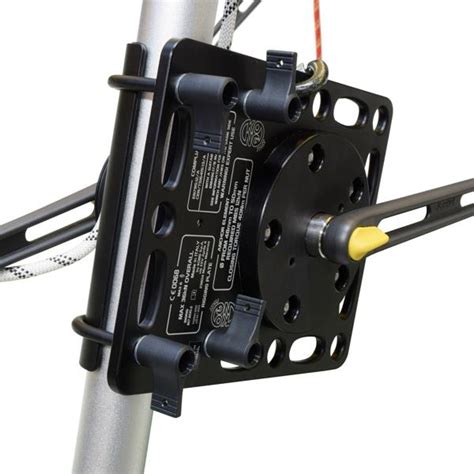 Raizer Argani Pali E Tripodi Kong