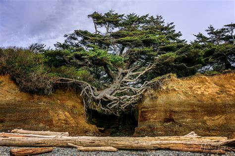 The Pareto Principle