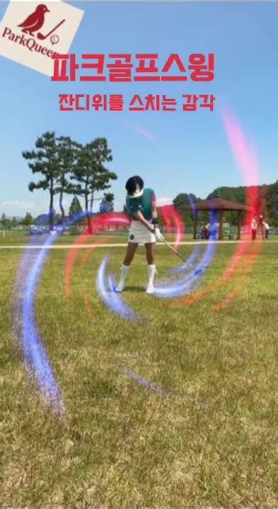 파크골프스윙 파크퀸방화영 잔디위를 스치는 감각 조용히 붙히다파크골프채 파크골프대회 Pgk파크골프킹 파크골프스윙 Youtube