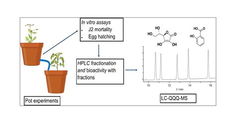 Chemo Ecological Insights Into The Use Of The Non Host Plant Vegetable