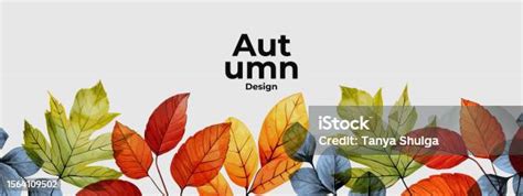 가을의 초록색 황금색 빨간색 주황색 잎이 배경에 격리되어 있는 긴 수평 테두리가 있는 가을 계절 배경 안녕하세요 가을 벡터 일러스트레이션 가을에 대한 스톡 벡터 아트 및