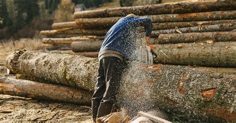 Logging And Forestry Moda