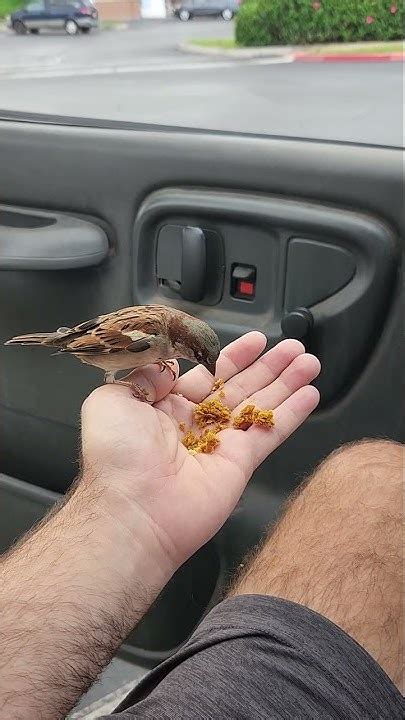 Random Perspective 11 Youtube