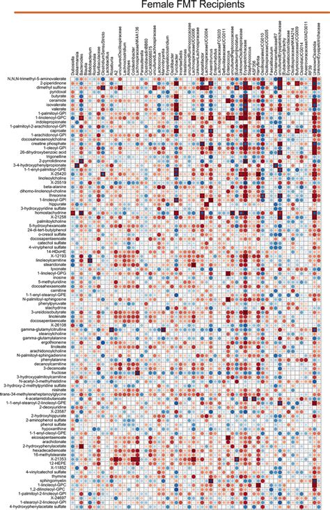 Gut Microbiome Driven Regulation Of Sex Hormone Homeostasis A Potential Neuroendocrine
