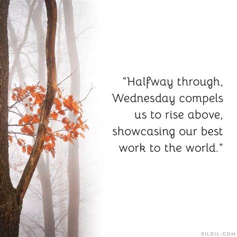 Wednesday Quotes For Work