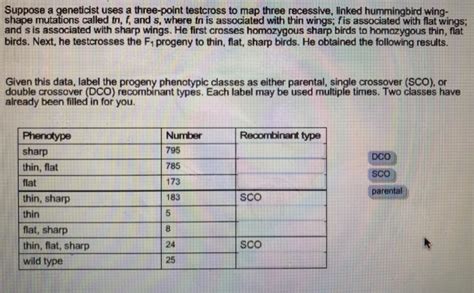 Solved Suppose A Geneticist Uses A Three Point Testcross To