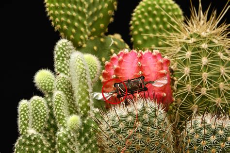 Mit Researchers Develop Bug Sized Robot That Can Still Fly After Being Mit Researchers Develop Bug Sized Robot That Can Still Fly After Being