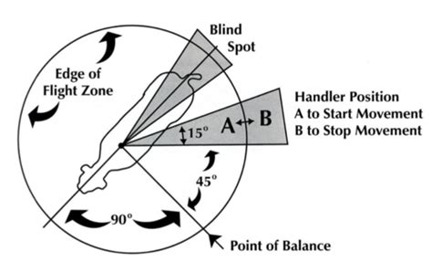 Ansc 2050 Exam 1 Flashcards Quizlet