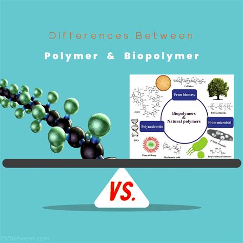 Polymer Vs Biopolymer Key Distinctions In Materials Science