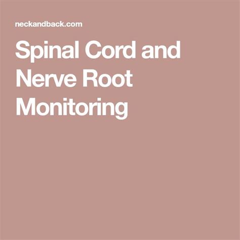 Spinal Cord And Nerve Root Monitoring Spinal Cord Spinal Nerve