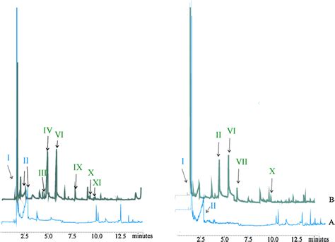Gc Chromatogram Of Organic Compounds Released During Photo Excitation Download Scientific