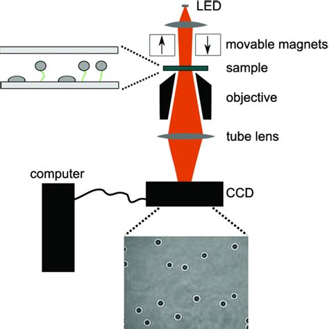 Power Spectrum And Allan Variance Methods For Calibrating Single Molecule Video Tracking