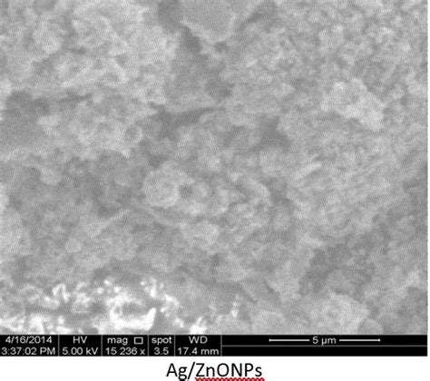 SEM Images For ZnONPs And ZnONPs Ag Prepared Catalysts Download Scientific Diagram