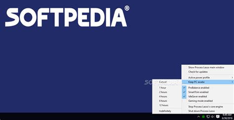 Download Process Lasso Server