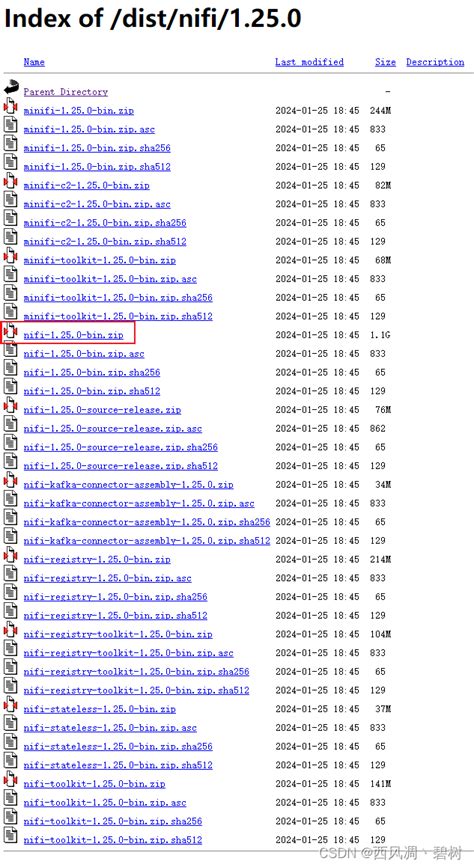 Nifi下载windows版本安装启动成功 Csdn博客