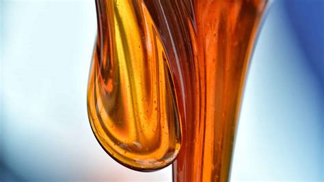 Potential Benefits Of Sidr Honey Al Malaky