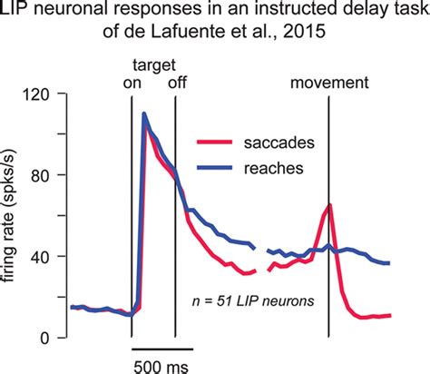 Cognitive And Action Based Aspects Of Developing Decisions In Parietal Cortex Journal Of