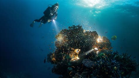 John Pagano Group Ceo Red Sea Global Explains Regenerative Travel