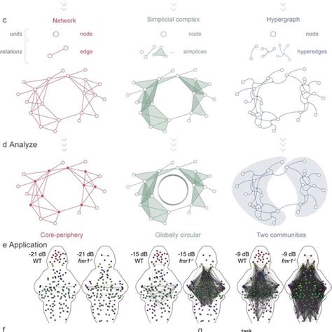 Systems Neuroscience Uses Multiple Methods To Encode Represent And