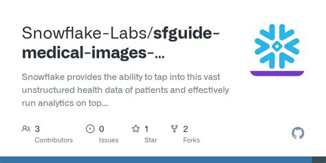 github snowflake labs sfguide medical images classification using