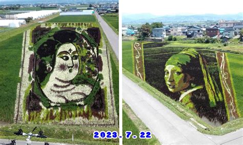 青森・田舎館村【田んぼアート】 アカシバブログ