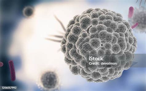 바이러스 세포 또는 박테리아 분자 독감 현미경 전염병하에서 바이러스의 보기 세균 박테리아 세포 감염 유기체 바이러스 H1n1 돼지 독감 코로나 바이러스 3d 렌더링