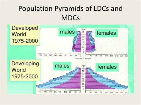 Ppt Chapter 2 Population Powerpoint Presentation Free Download Id 4256496