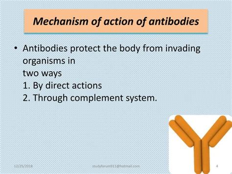 Antibodies And Their Function Pptx
