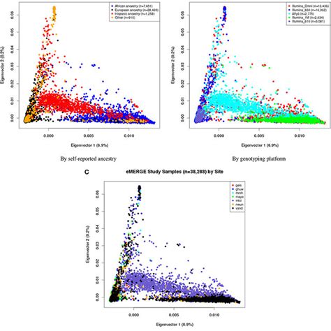 Scree Plots Illustrating Variance Explained For PCA Outlined In This