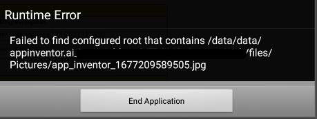 How Do I Launch Camera After Clicking Input File In My Webviewer 40