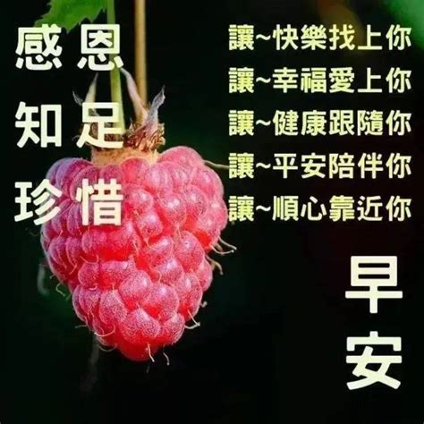 早上好祝福问候语友谊本无价问候在清晨 生活 亲爱的朋友 音乐