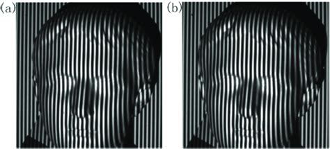 The Intercepted Deformation Pattern After Pixel Matching A Deformed Download Scientific