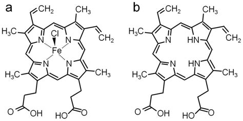 Chemical Structures Of The Surface Species Used In This Work A