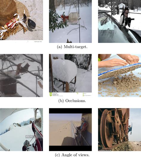 Figure 1 From Bag Of Tricks For Out Of Distribution Generalization Semantic Scholar